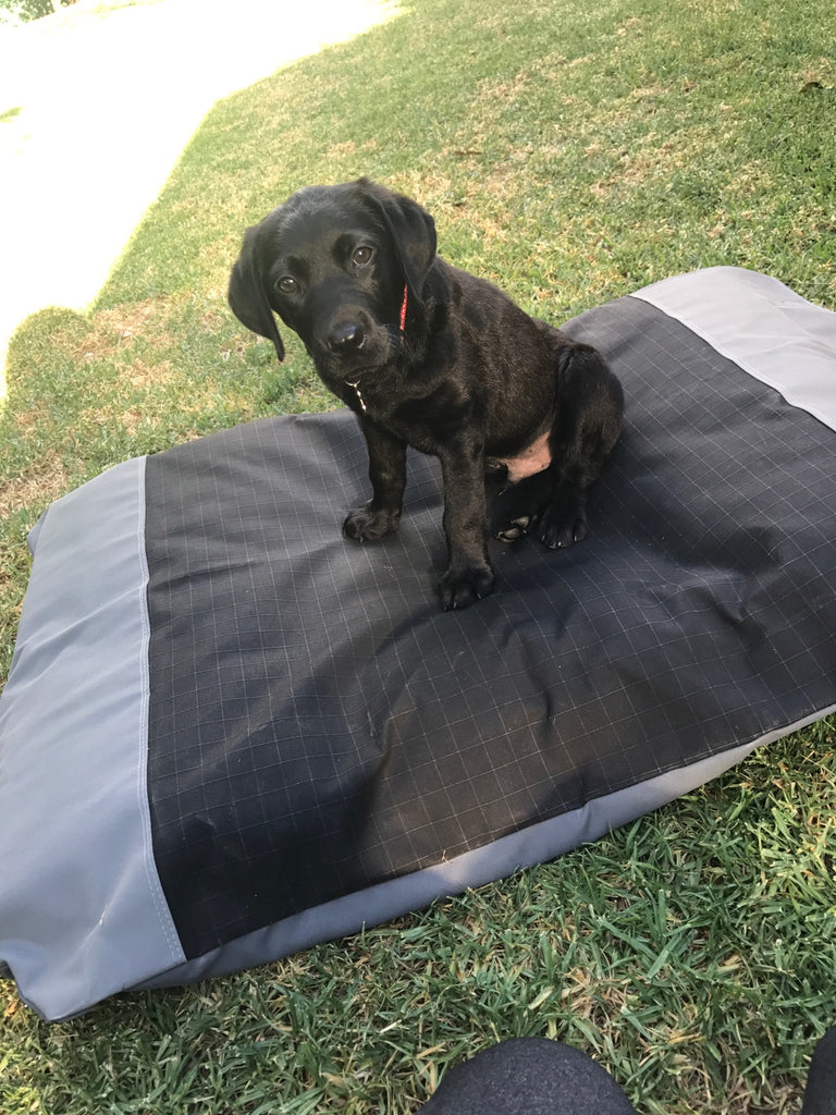 Coopers Pet Covers the best Pet beds you can buy